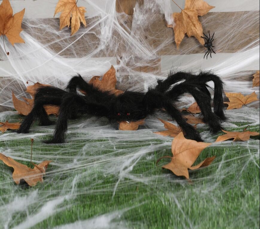 Køb Stor edderkop | gag.dk